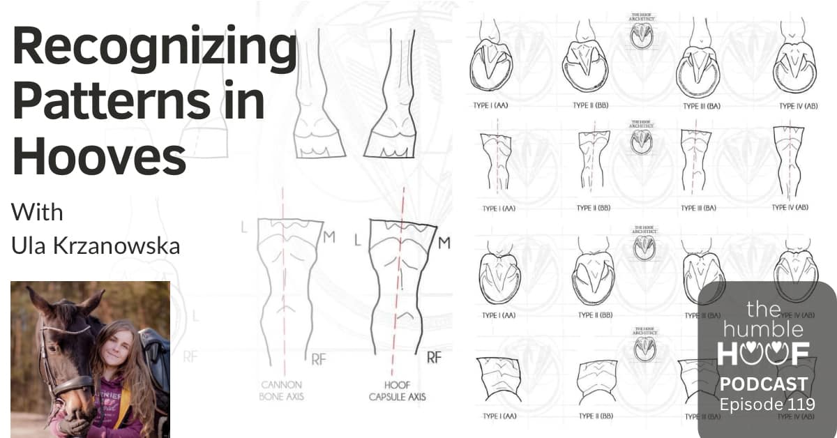 Recognizing Patterns in Hooves – The Humble Hoof