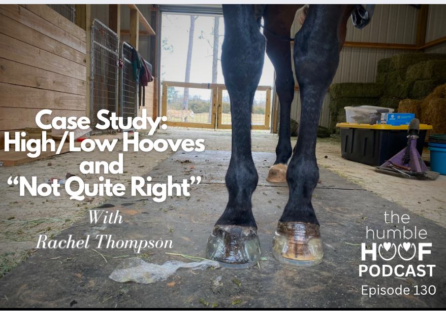 Case Study: High/Low and “Not Quite Right” – The Humble Hoof
