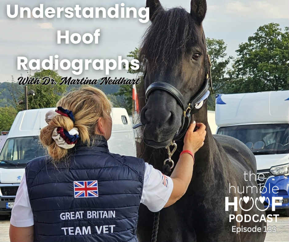 Understanding Hoof Radiographs – The Humble Hoof